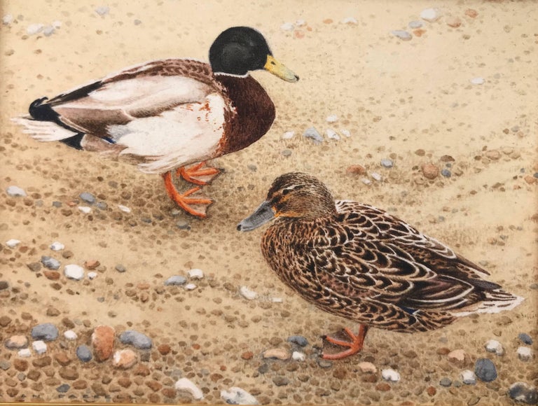 Alan Farrell - “Mallards 2” For Sale at 1stDibs