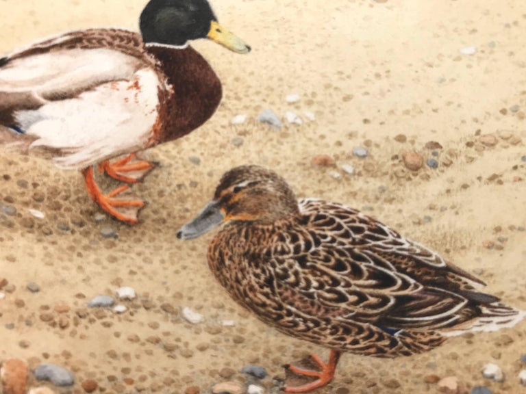 Alan Farrell - “Mallards 2” For Sale at 1stDibs