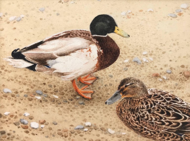 Alan Farrell - “Mallards 2” For Sale at 1stDibs