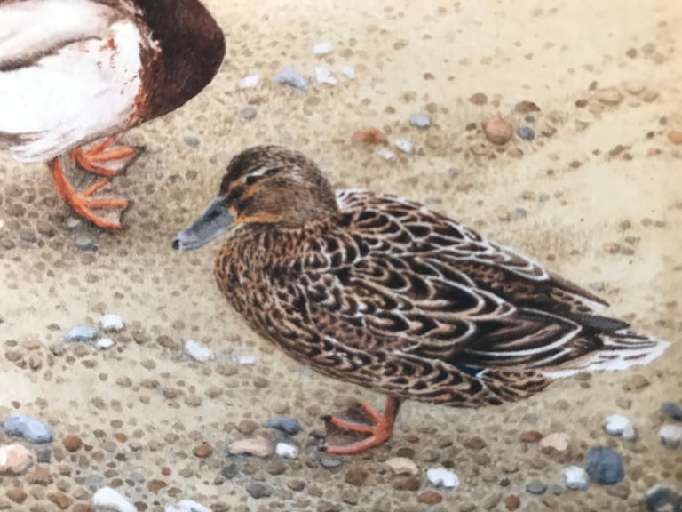 Alan Farrell - “Mallards 2” For Sale at 1stDibs