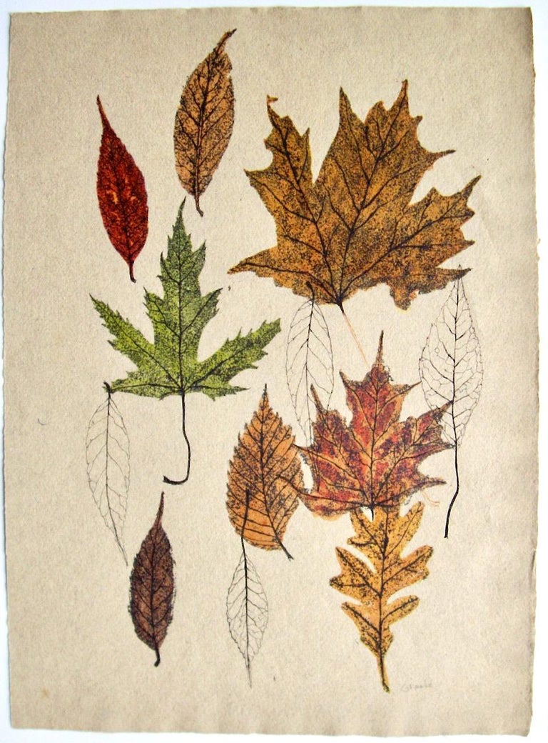 Vintage Fall Leaves