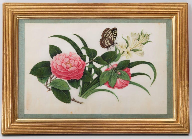 Unknown - [CHINESE EXPORT WATERCOLOURS ON PITH PAPER]. - Botanical ...