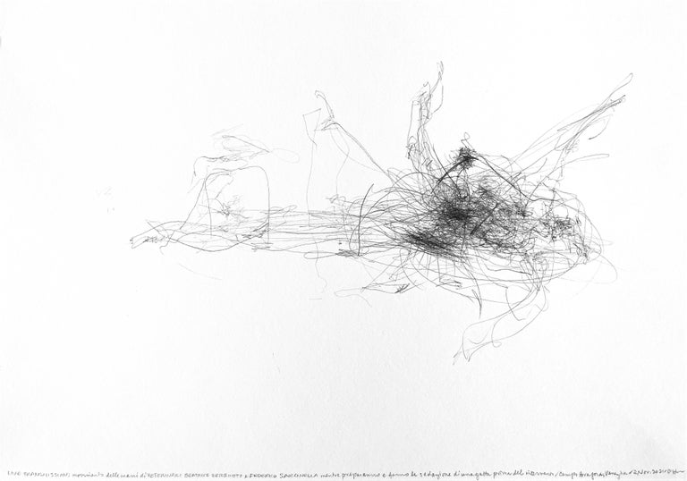 Morgan O'Hara - Beatrice Zerbinato Veterinaria. 2021, graphite, paper ...