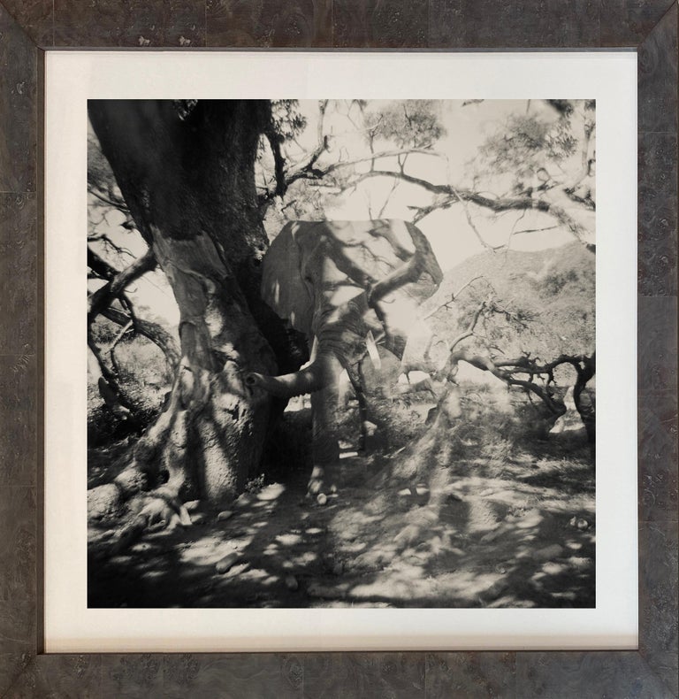 Nicol Ragland - 'ELE,' Tanzanian Elephant, Black and White Photograph ...