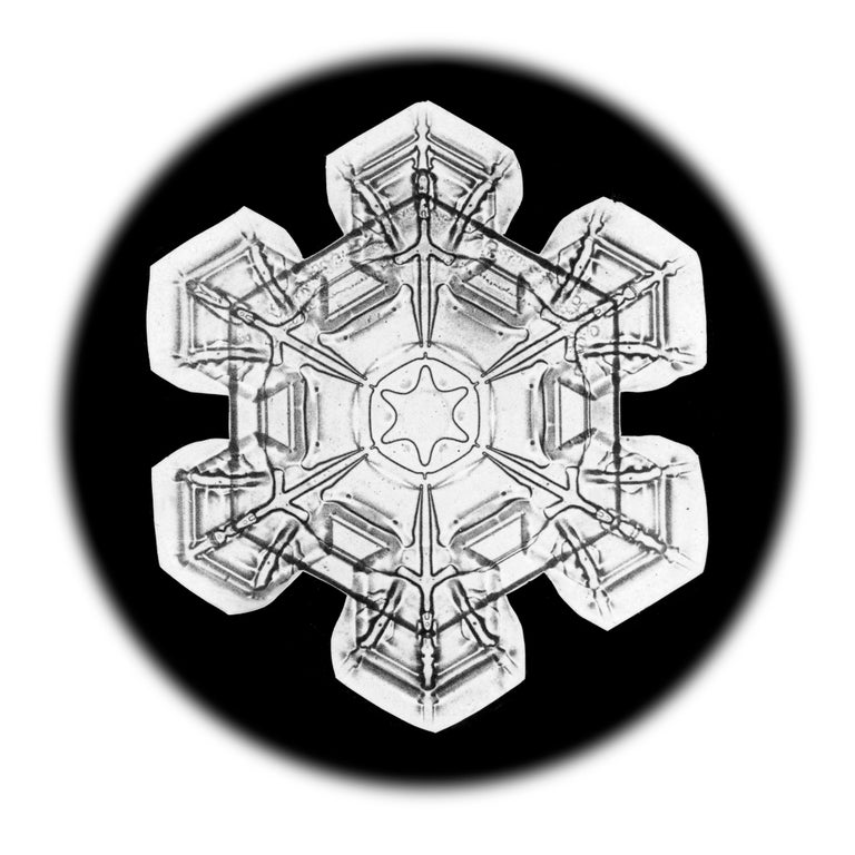 Wilson Bentley - Snowflake Microscopy 2 For Sale at 1stDibs
