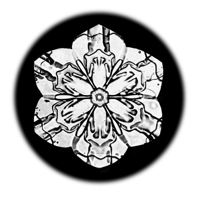 Wilson Bentley - Snowflake Microscopy 4 For Sale at 1stDibs