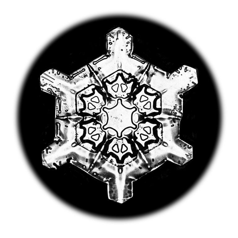 Wilson Bentley - Snowflake Microscopy 11 For Sale at 1stDibs