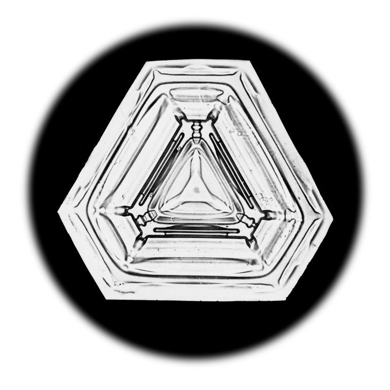 Wilson Bentley - Snowflake Microscopy 19 For Sale at 1stDibs