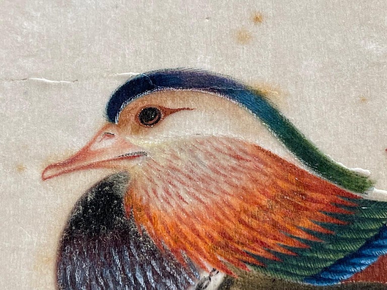 Two Mandarin Ducks, Circle of Sunqua, Gouache on Pith Paper, Qing ...