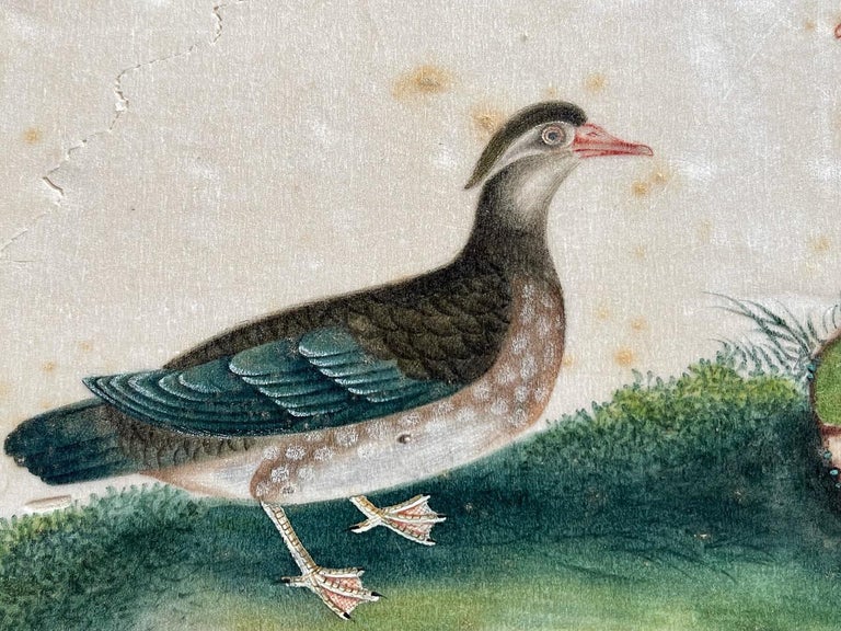 Two Mandarin Ducks, Circle of Sunqua, Gouache on Pith Paper, Qing ...