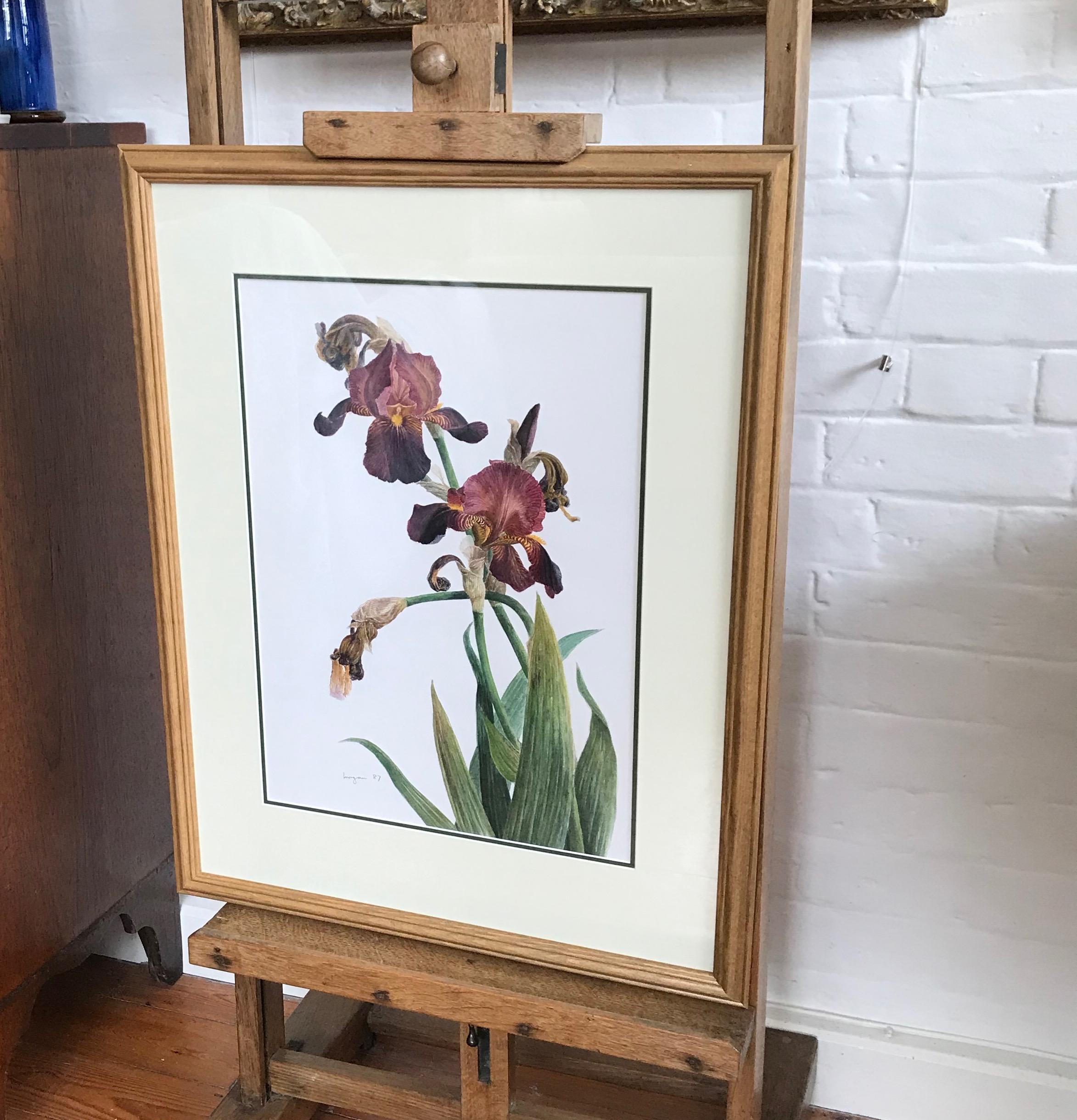 Glyn Morgan - Glyn Morgan, Benton End artist, Still life of Iris at ...