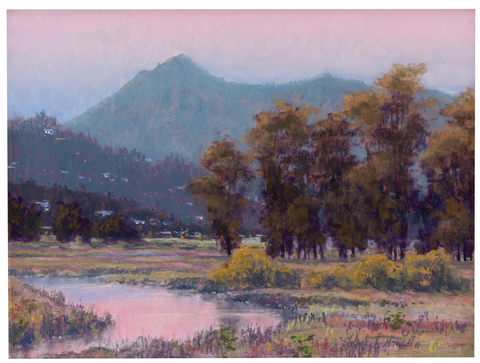 Clark Mitchell - Sunrise Wetlands - Landscape Pastel Painting ...