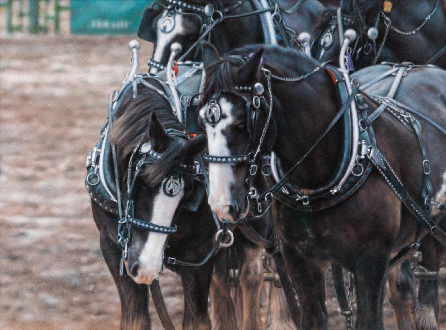 Abigail Dunnivan - Team Meeting - Draft Horse Pastel Painting Equine ...