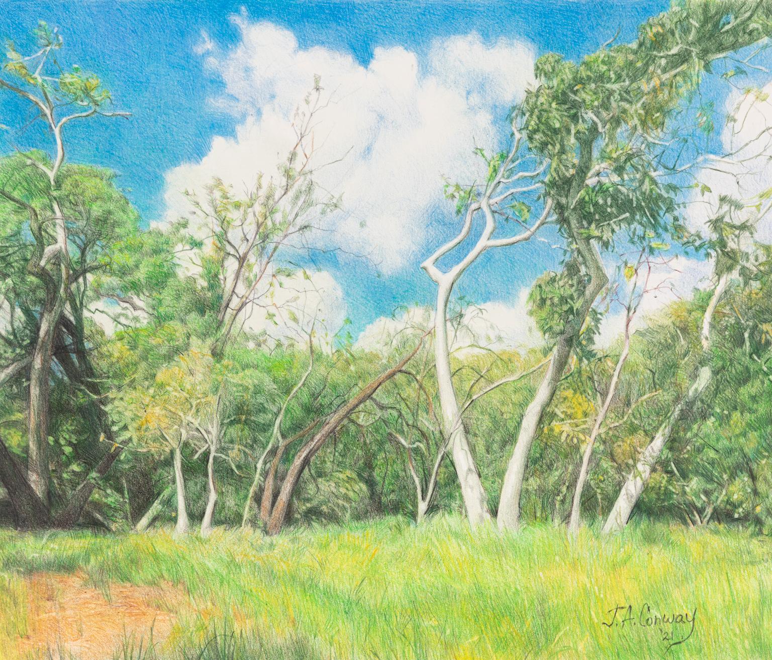 Sue Bryan - Whippersnapper (Realistic Charcoal Landscape Drawing on ...