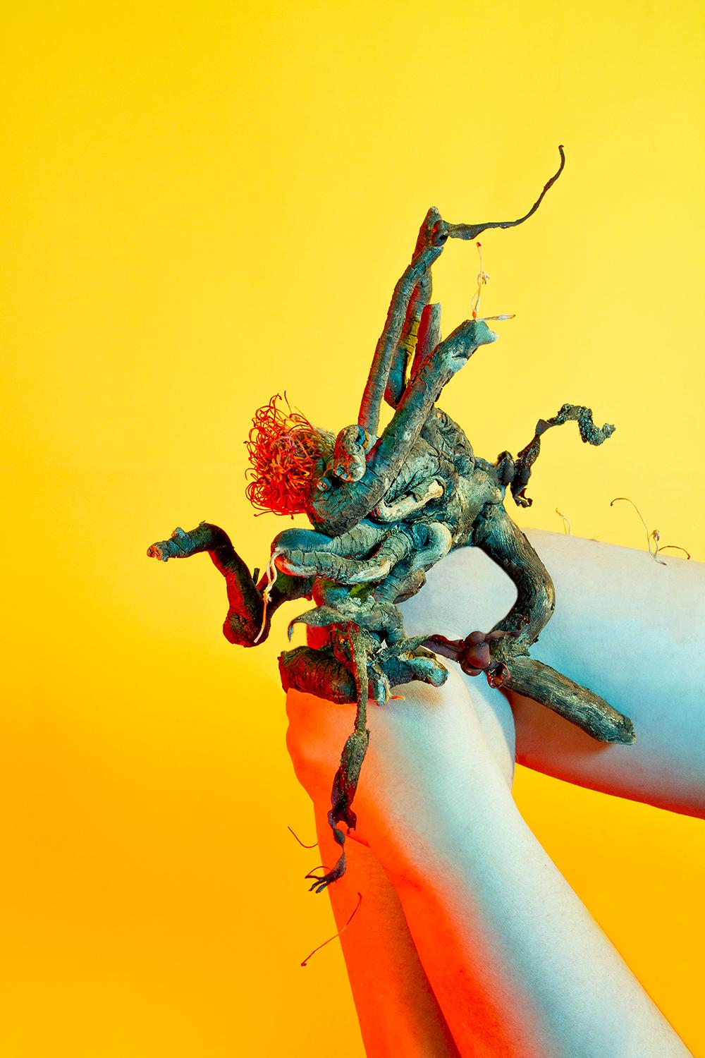 Anastasia Bogomolova - Assemblage For Sale at 1stDibs