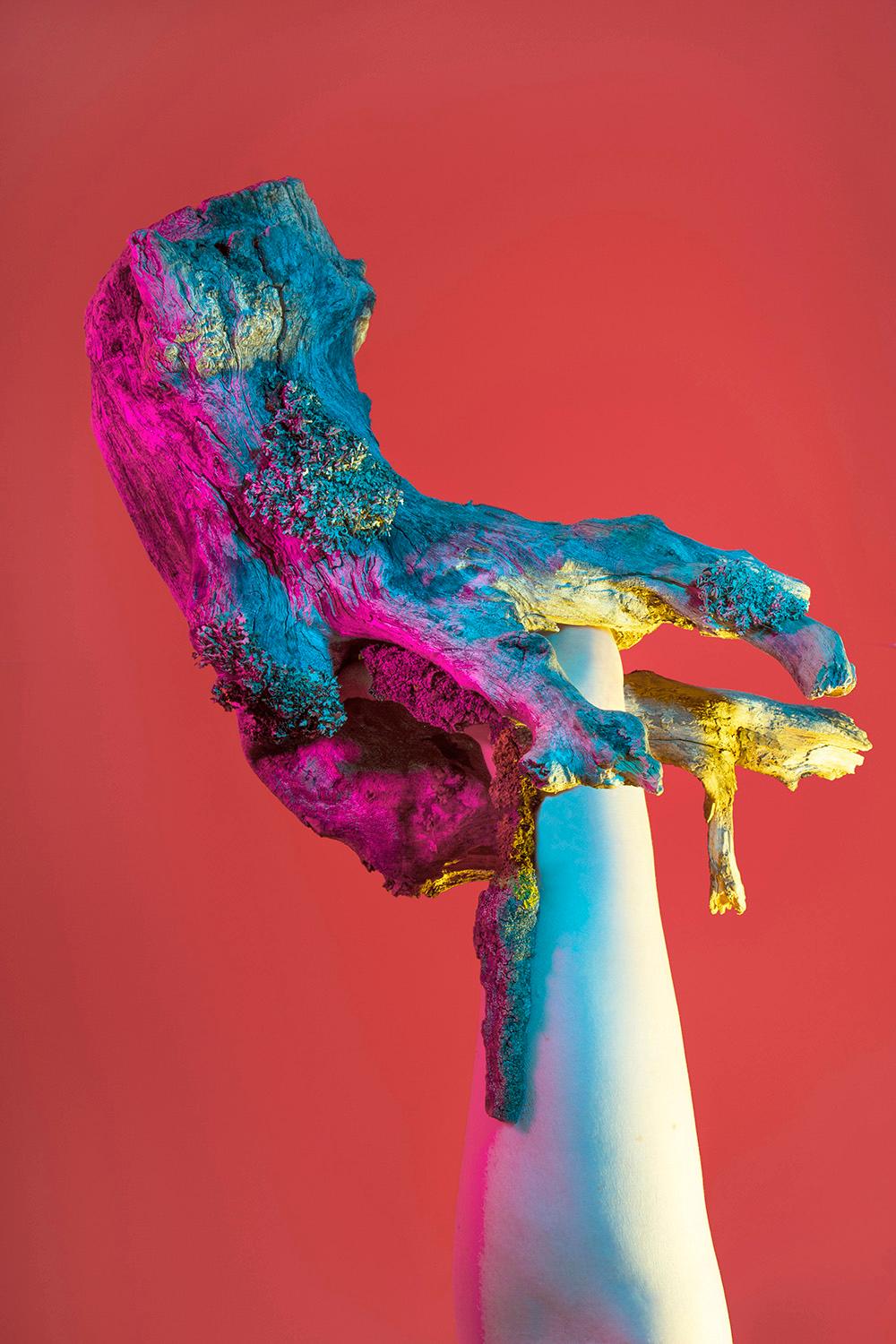 Anastasia Bogomolova - Assemblage For Sale at 1stDibs