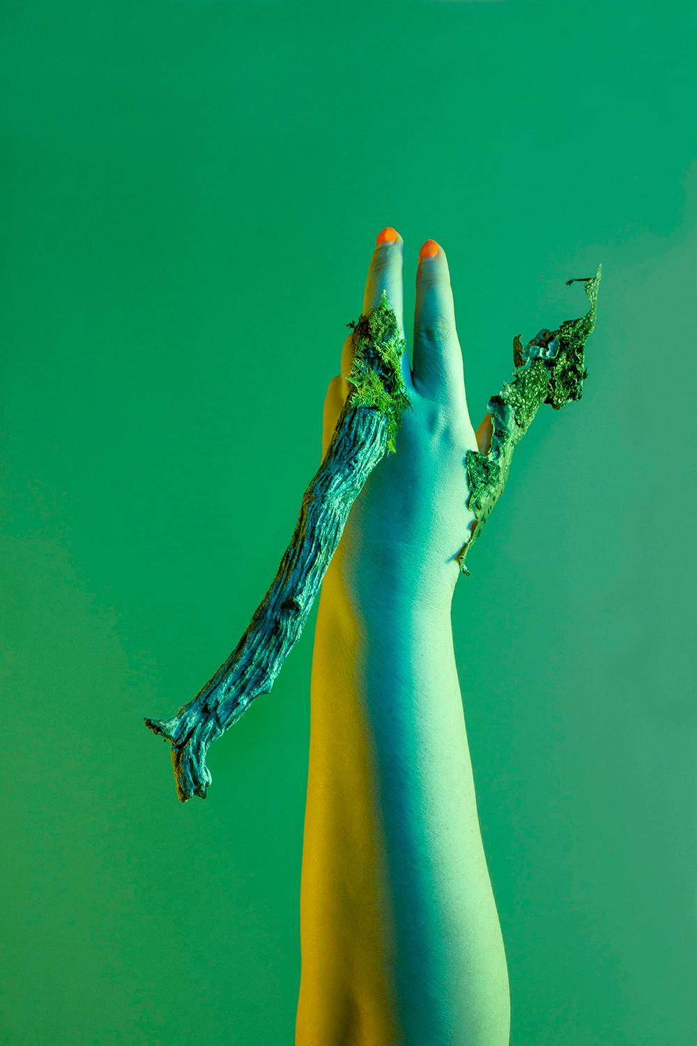 Anastasia Bogomolova - Assemblage For Sale at 1stDibs