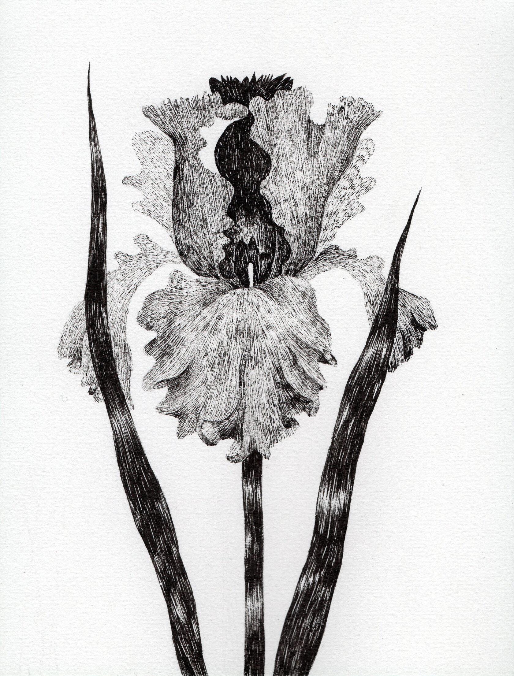 Alfred Siegris - Watercolor Landscape - Swiss Cabin For Sale at 1stDibs