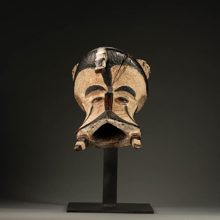 Unknown - Ibo, Igbo Mask, Ogbodo Enyi, Elephant Spirit For Sale at 1stDibs