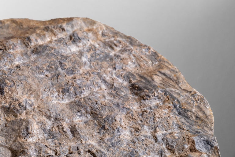 Unknown - ARCHITECTRUAL SCULPTURE FRAGMENT OF 'BIGIO MORATO' MARBLE ...