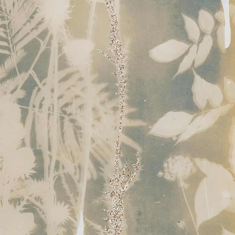 Caroline Bullock - Psychic Garden (Emperor) - botanical - cyanotype ...