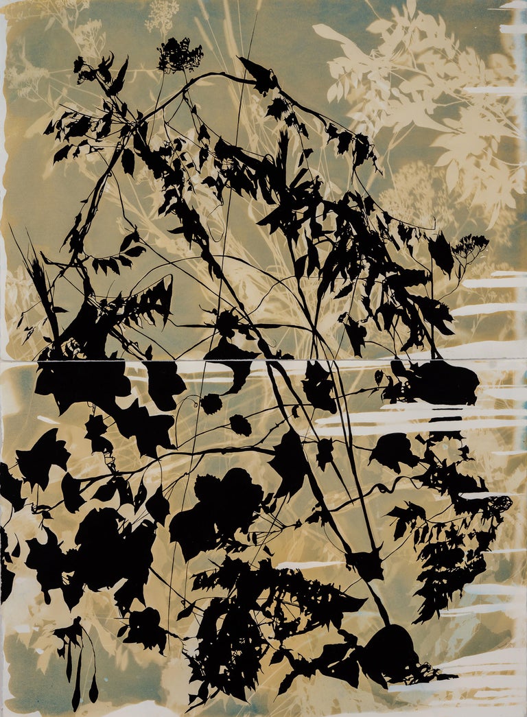 Caroline Bullock - Psychic Garden (Mater) - botanical - cyanotype ...