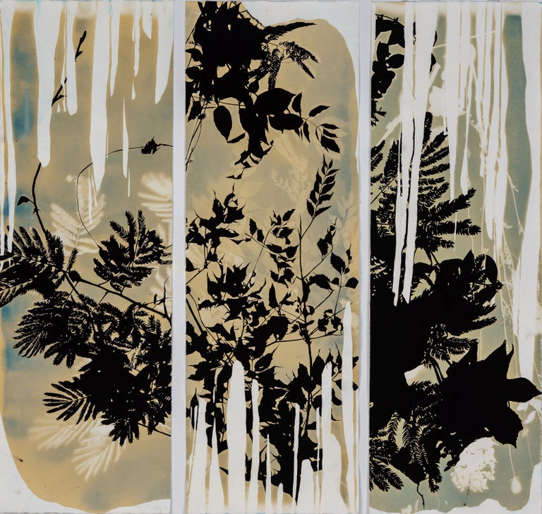 Caroline Bullock - Psychic Garden (Mimosa Pudica/Embrace) - botanical ...