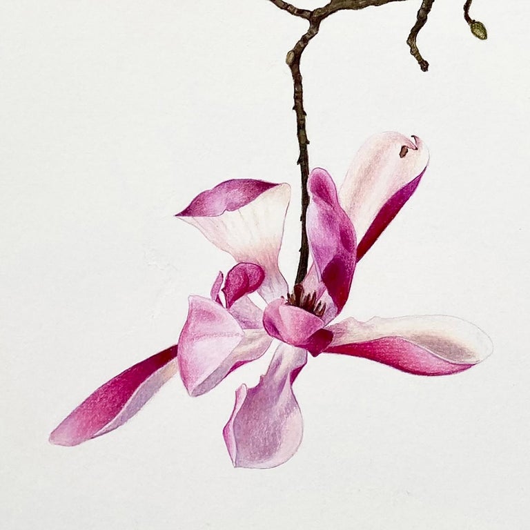 Hannah Hanlon - 'Tulip Tree Branch with Chickadees' - floral ...