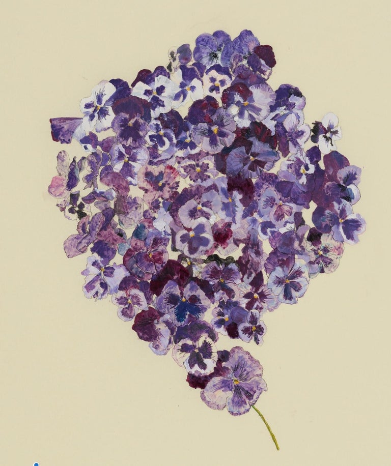 Howard Tangye - Purple Pansy Square, Mixed media on Pergamenata ...