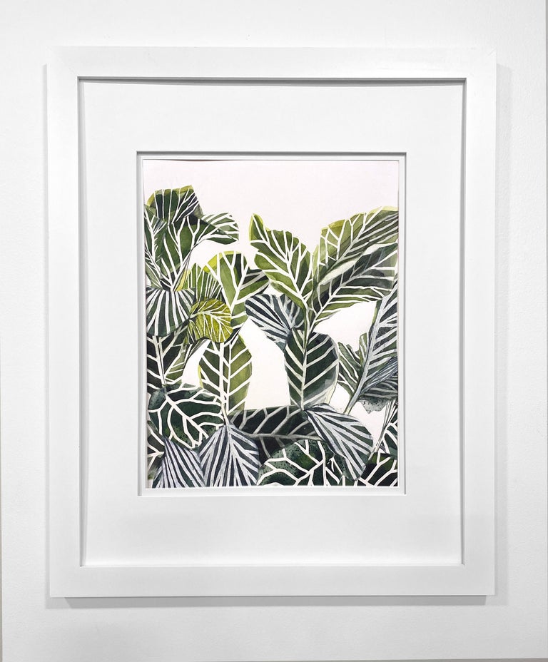 Rachel Kohn – „Gerahmtes botanisches Aquarell von Rachel Kohn ...