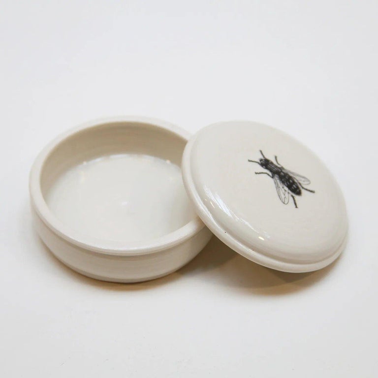 Ron Carlson - Ceramic Realist Flat Fly Lidded Container For Sale at 1stDibs