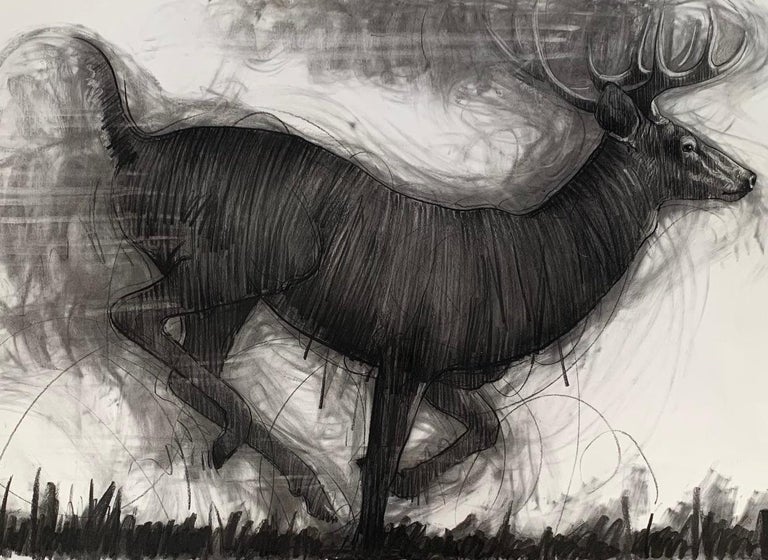 Nico Vrielink - Running Deer Drawing on Paper Charcoal In Stock For ...