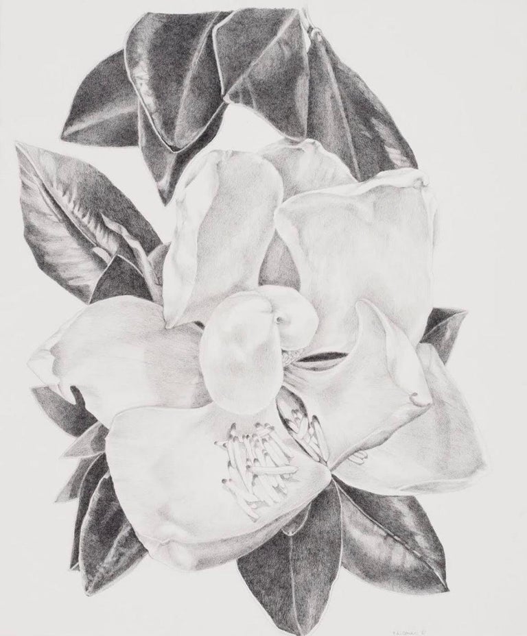 Teri Garcia - Teri Garcia, Magnolia, Framed For Sale at 1stDibs
