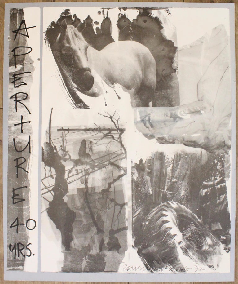 Robert Rauschenberg - Robert Rauschenberg, Horse Silk, Unframed at 1stDibs