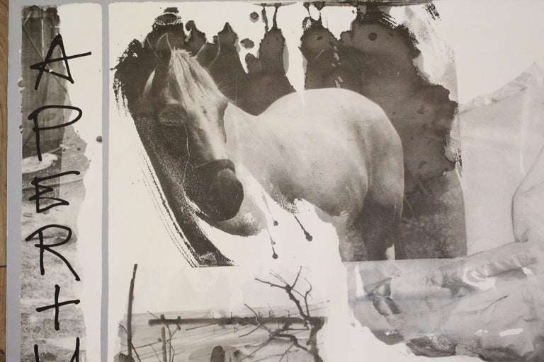 Robert Rauschenberg - Robert Rauschenberg, Horse Silk, Unframed at 1stDibs