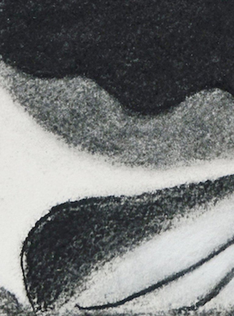 Rachel Crummey - In search of the night coloured pearl (4) - black ...
