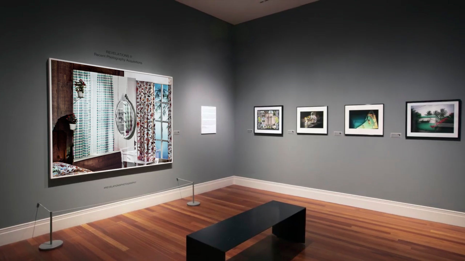 Matthew Cronin - Dwelling #11, Contemporary Color Photography, Flowers ...