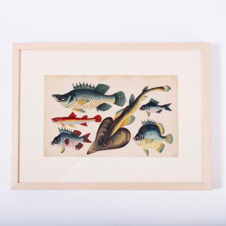 Unknown - Chinese Pith Painting of Fish For Sale at 1stDibs