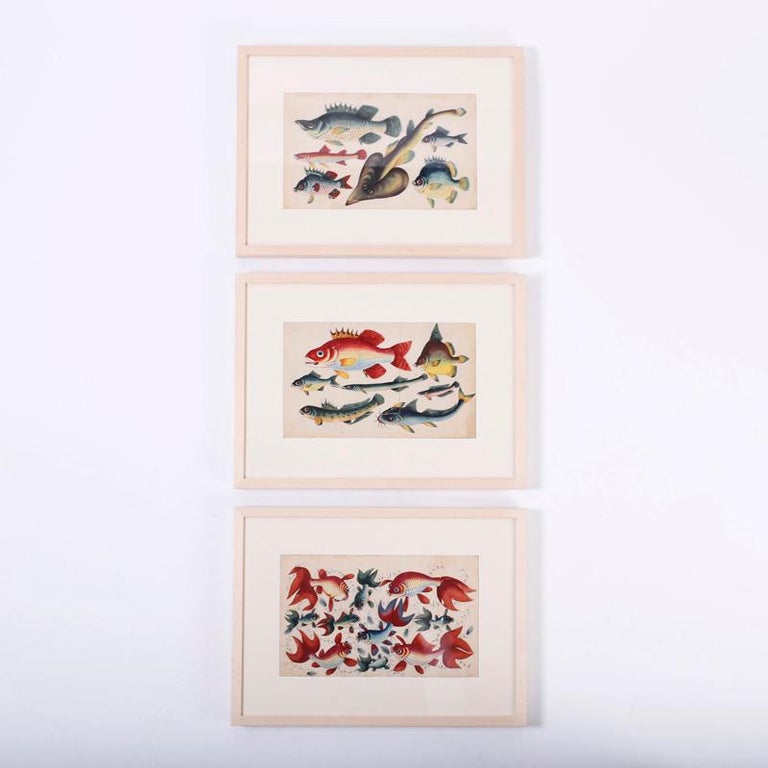 Unknown - Chinese Pith Painting of Fish For Sale at 1stDibs