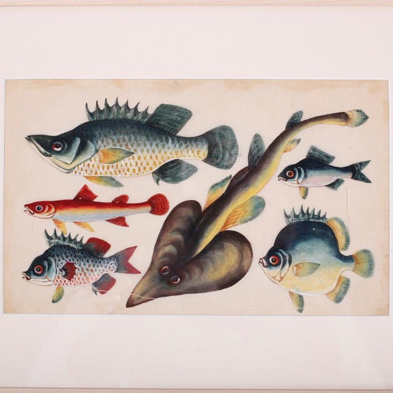 Unknown - Chinese Pith Painting of Fish For Sale at 1stDibs
