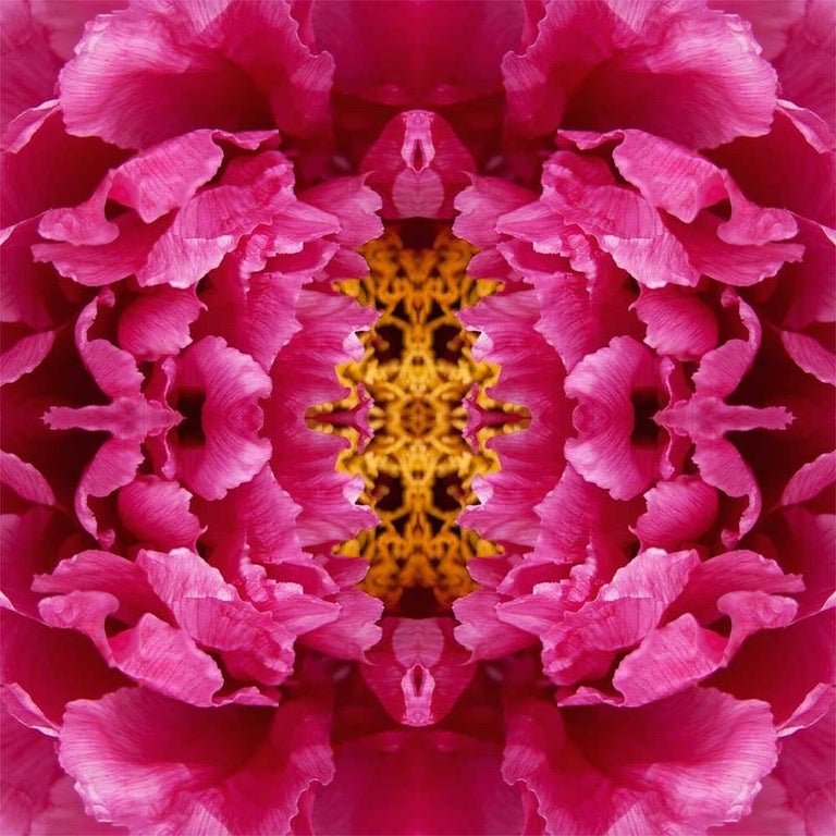 Rebecca Swanson - Mirror Mirror VI, 30x30, Color Photography, Flower ...