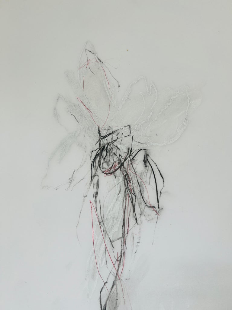 Lisa Lightman - Flower Drawing #1, graphite pencil on mylar paper For ...