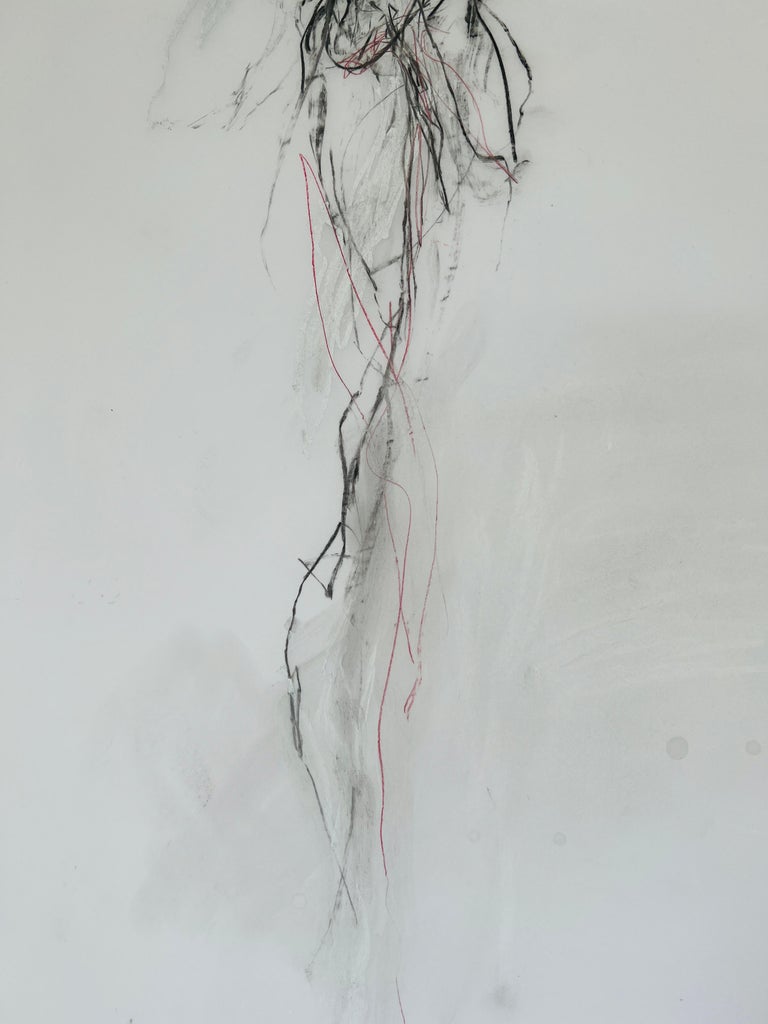 Lisa Lightman - Flower Drawing #1, graphite pencil on mylar paper For ...