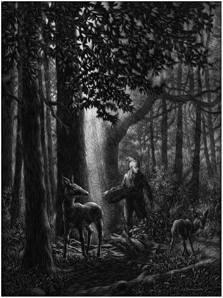 Kate Samworth - Bois ensoleillés En vente sur 1stDibs