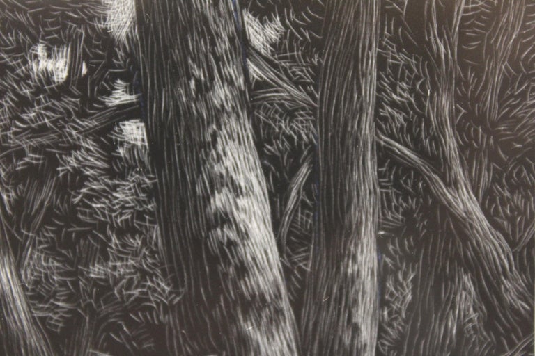 Kate Samworth - Foraging For Sale at 1stDibs