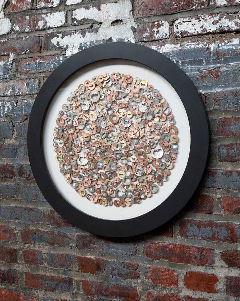 Stacey Lee Webber - Birds M.I.A. For Sale at 1stDibs