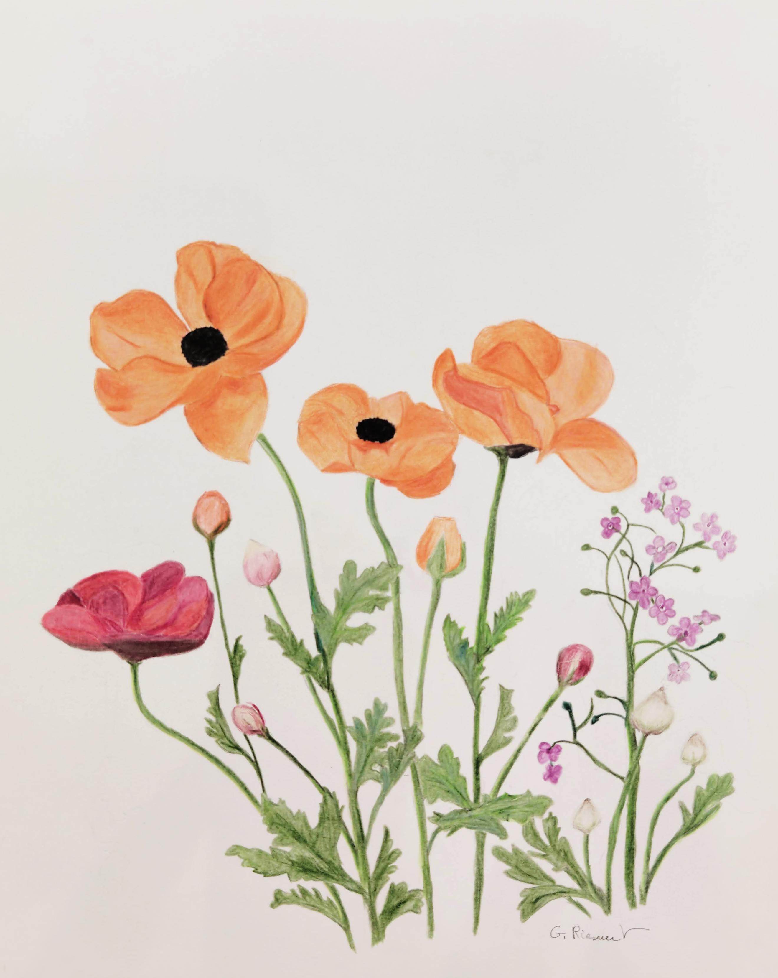 French Flowers Drawing