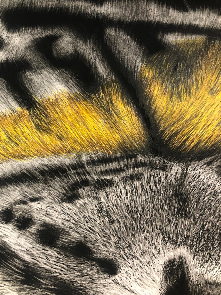 SKIMA - Onca (leopard), drawing, 2022, hyperrealism, 5'3'', French ...