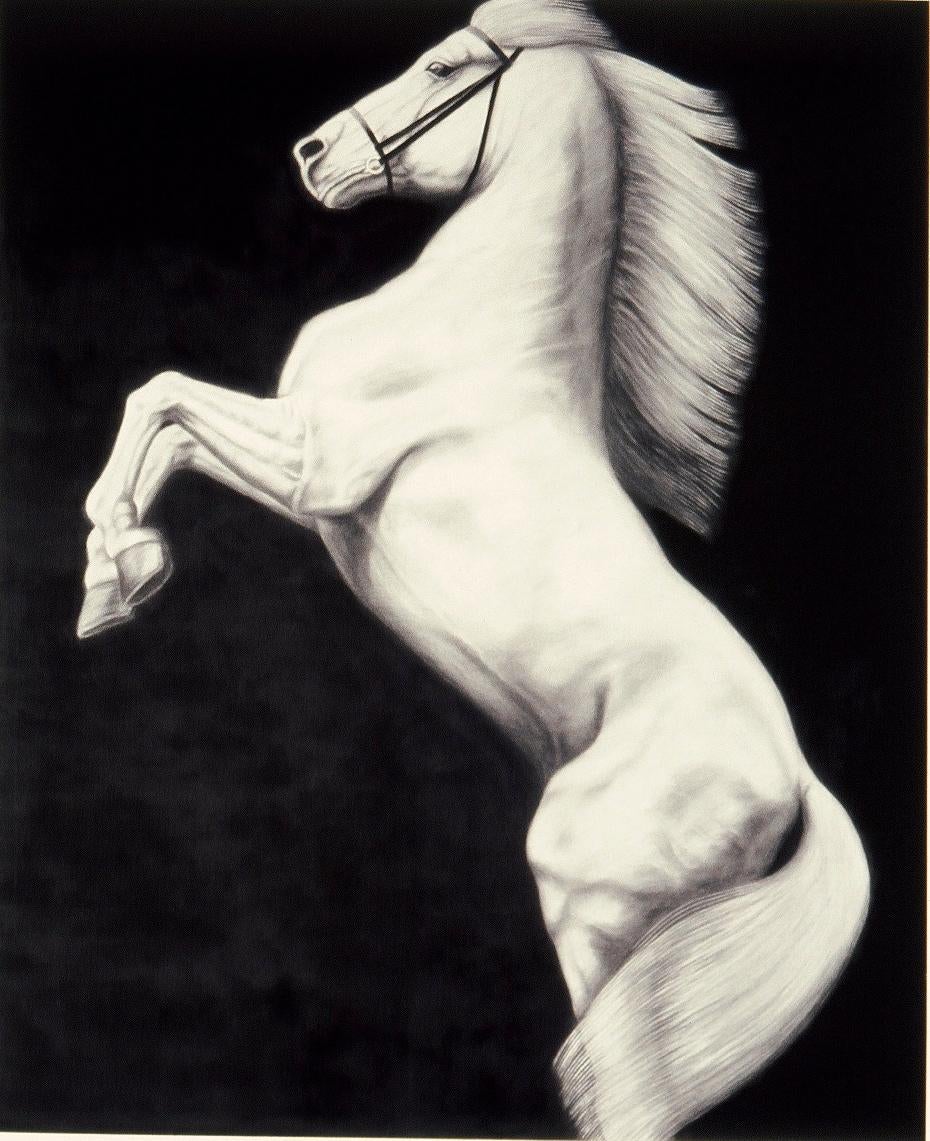 Joseph Piccillo - #9, 2007 at 1stDibs