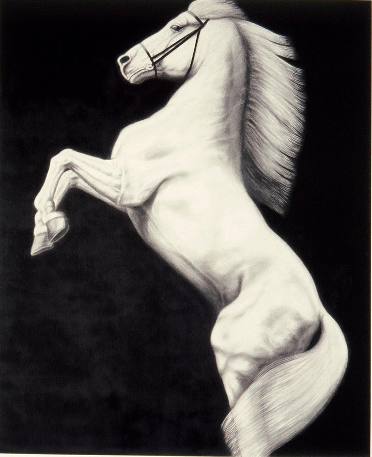 Joseph Piccillo - #9, 2007 at 1stDibs